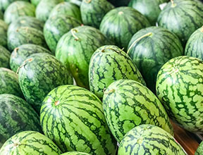 Mbogo Kenya Flavours Limited - From farm to fork, quality you can taste.